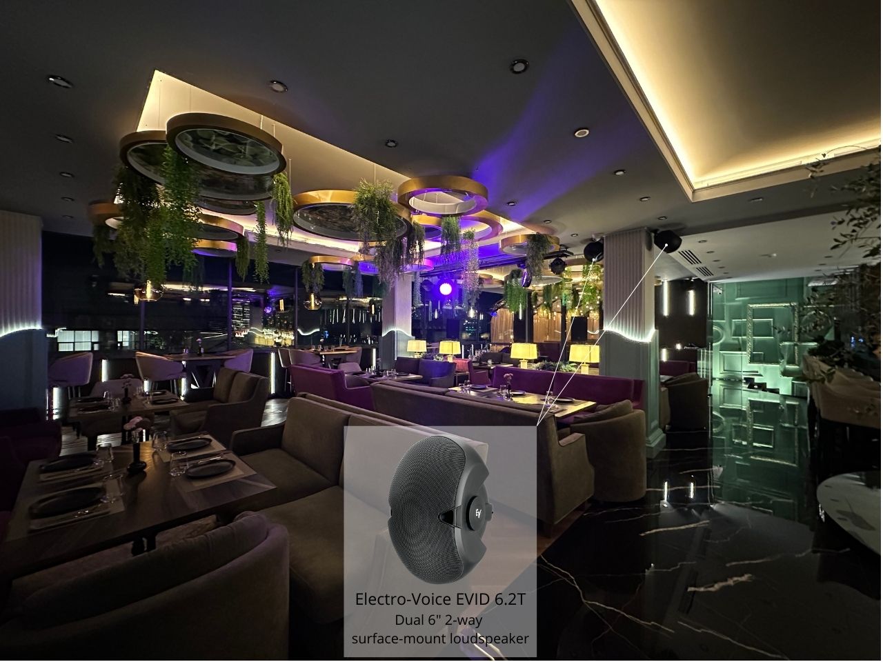 Pro-Sound and Light