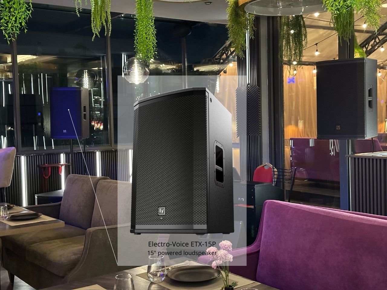 Pro-Sound and Light